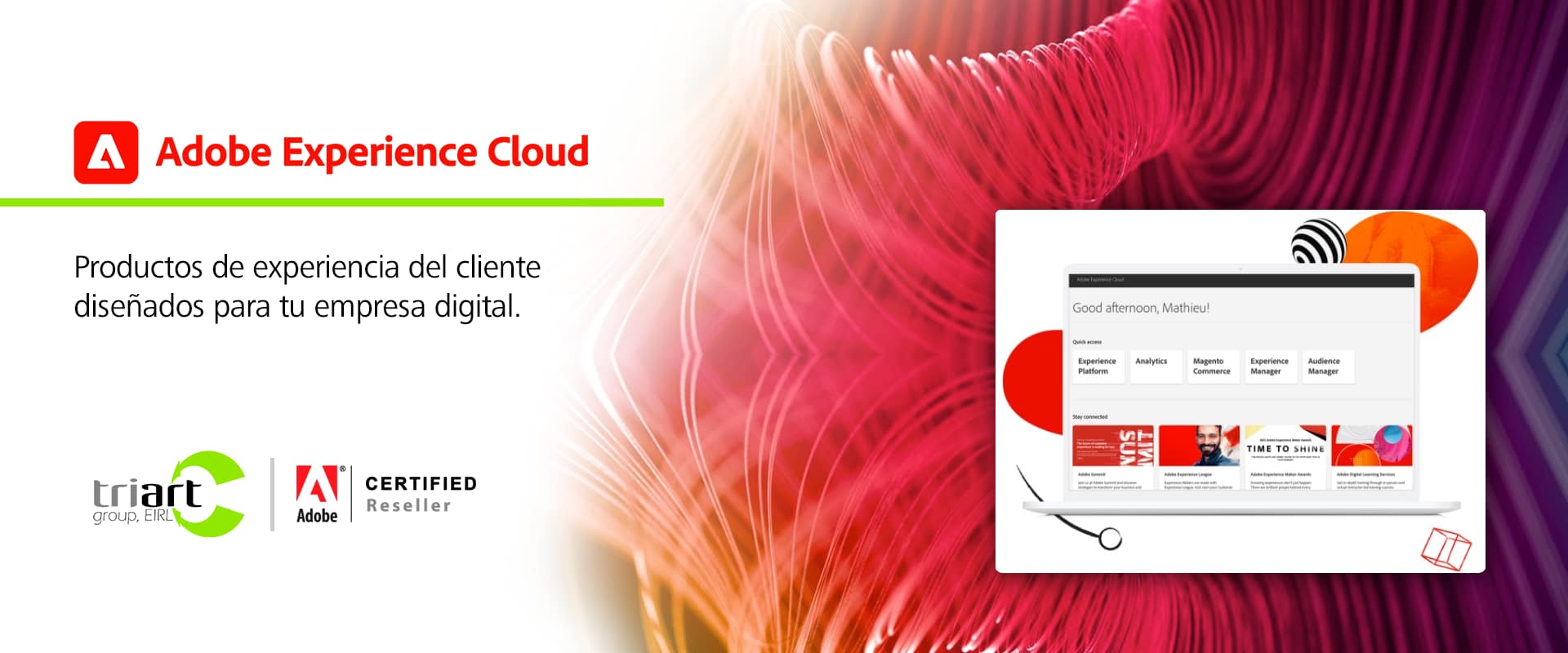 Inicio - TriArt Group, EIRL